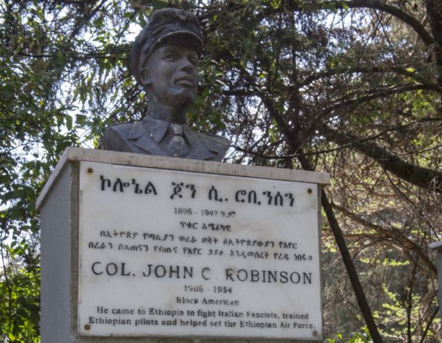 John Robinson, the Brown Condor